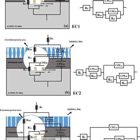 The Equivalent Circuits Which Were Employed To Fit The Impedance Download Scientific Diagram