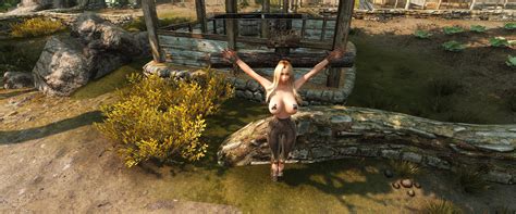 Zaz Animation Pack Zap Page 49 Downloads Skyrim Adult And Sex Mods Loverslab