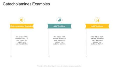 Catecholamines Examples Powerpoint Presentation And Slides Slideteam