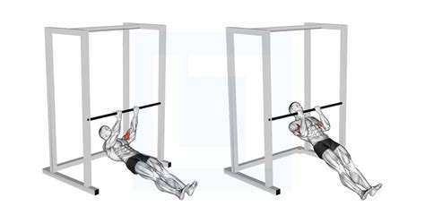 Reverse Push Up Guide Benefits And Form