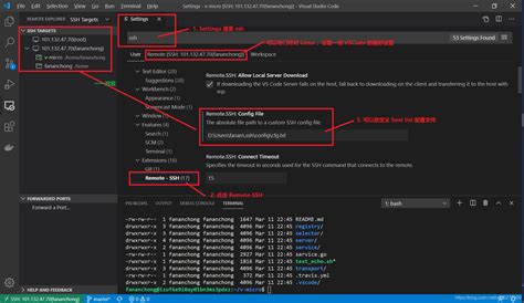 Vscode 远程 Linux 的 Golang 开发环境搭建（备忘）win Vscode 远程编译linux Go语言 Csdn博客