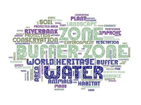 Buffer Zone Graphic By Laurenejlevinson Creative Fabrica