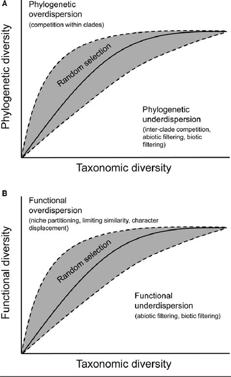 Theoretical Relationships Between A Taxonomic Diversity And Download Scientific Diagram