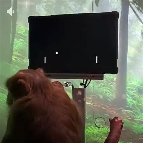 Manish Liya On Linkedin Learning Brainscience Future Brainimplants