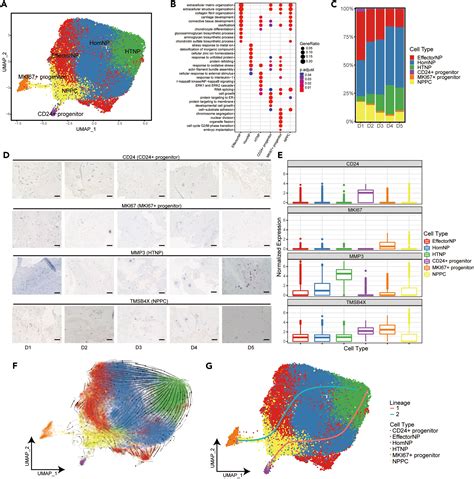 Single Cell Transcriptomics Reveals Heterogeneity And Intercellular