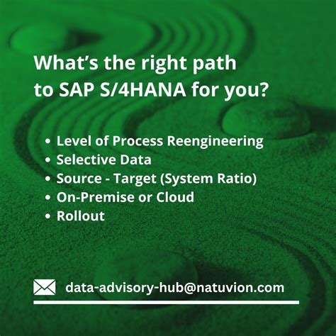 Sap S4hana Datatransition Sap Data Advisory Hub