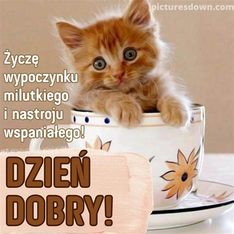 Darmowe Kartka Na Sobotę Mały Kotek