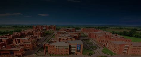 Machine Learning Using Python For Effective Research And Management Decision