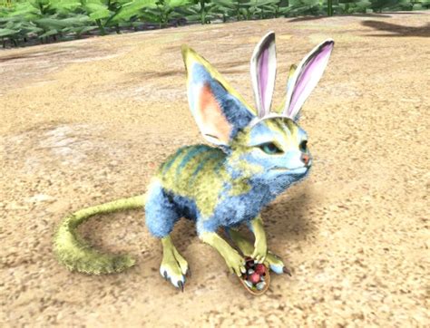 Chibi Jerbunny Ark Survival Evolved Wiki