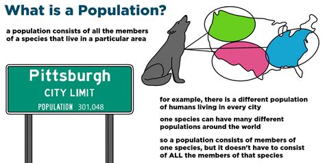 Population Ecology — Definition And Examples Expii