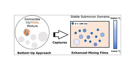 Circumventing Macroscopic Phase Separation In Immiscible Polymer