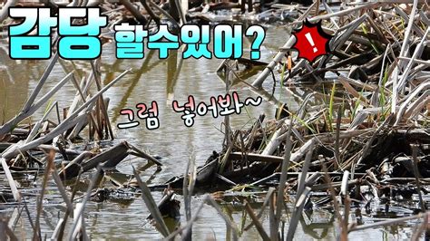 아 유혹에 홀려서 넣긴 넣었는디 구멍의 유혹 욕망의 구멍치기 YouTube