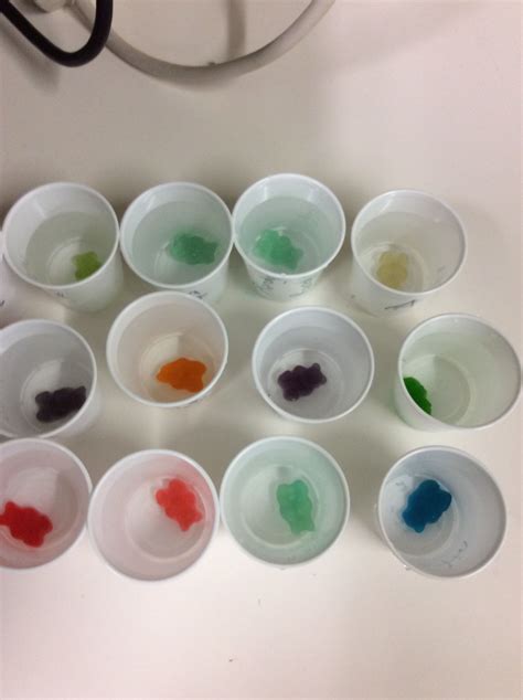 Gummy Bear Lab DENSITY Observe Direct And Inverse Relationships In Mass Volume And Density