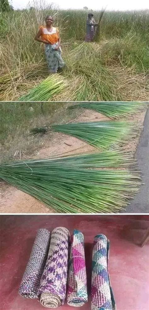 අපේ ගම පන් වර්ග ගොඩක් තියනවා තුන්