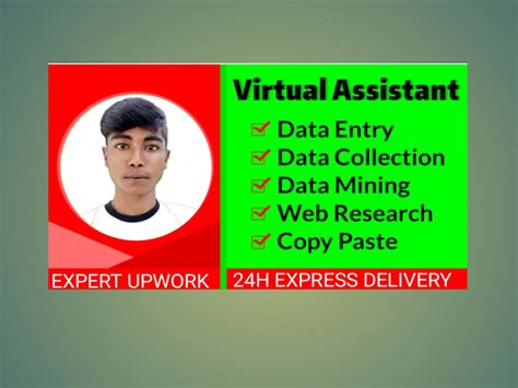Excel Data Entry Data Collection Web Research Copy Paste Full