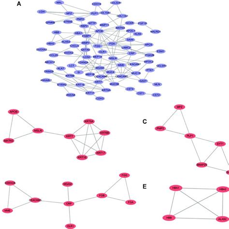 Ppi Network Construction And Functional Module Analysis The Whole Ppi Download Scientific