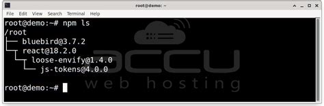 How To Install Npm On A Linux Server AccuWebHosting