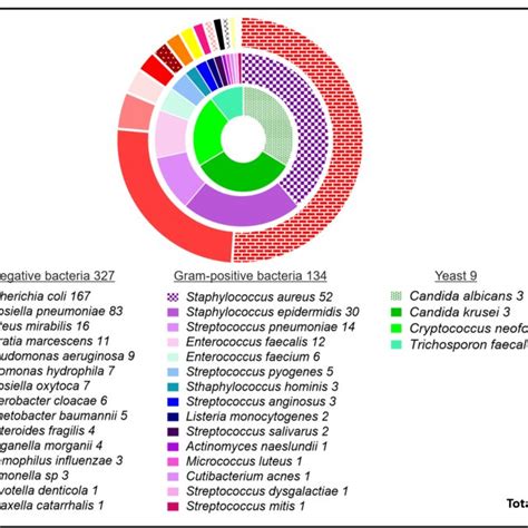 Maldi Tof Mss Operating Principle And The Sample Preparation Step For Download Scientific