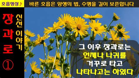신선 이야기 장과로1 ㅣ마음공부 호흡 명상 단전호흡 건강 풍요 성품 알아차림 시크릿ㅣ Youtube