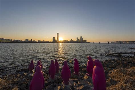 한강 노을명소 찾기 사진 공모전 수상작 발표
