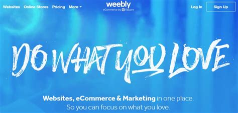 10 best website design softwares buddyx fastest wordpress theme for