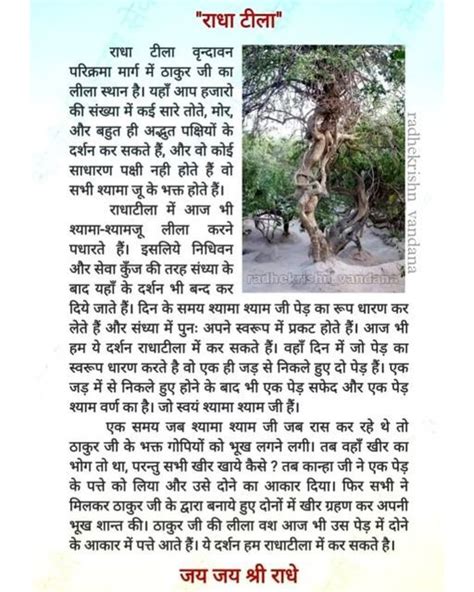 🦚vandana Tripathi🦚 On Instagram 🙏🌹जय जय श्री राधे 🌹🙏 🌹🌹🌹🌹🌹🌹🌹🌹🌹🌹🌹🌹🌹🌹🌹🌹🌼🌼🌼🌼🌼🌼🌼🌼🌼🌼🌼🌼🌼🌼 Radha