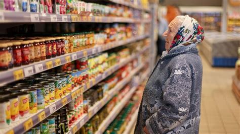 Tracheophytes What Are Classification Characteristics And Examples