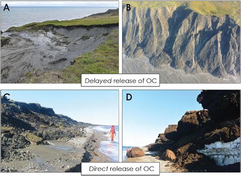 Nunataryuk Permafrost Carbon And Co2 Pathways Differ At Contrasting