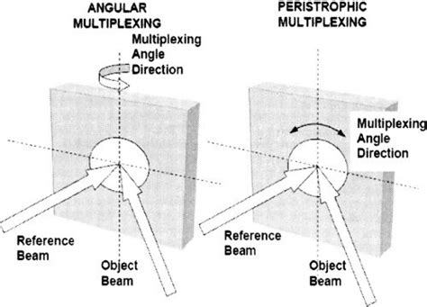 schematic of multiplexing methods download scientific diagram