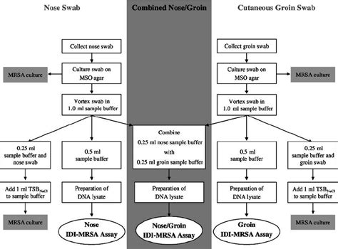 Protocol For Processing Nose And Cutaneous Groin Swabs By Idi Mrsa Download Scientific Diagram