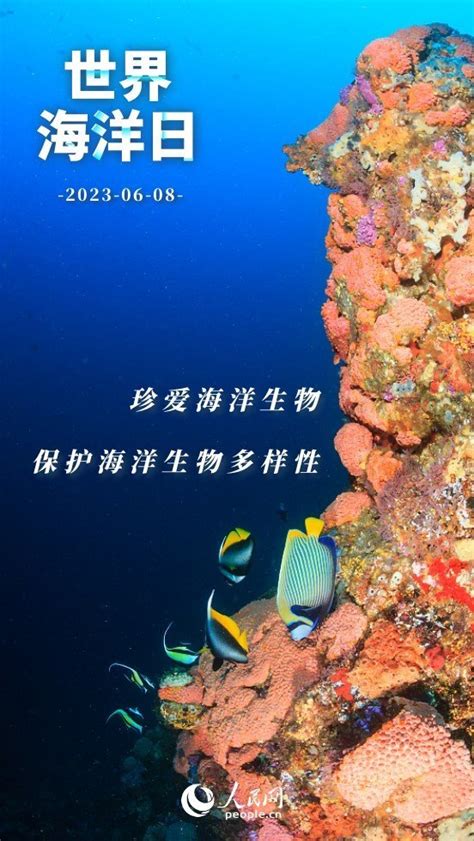 世界海洋日 保护海洋 我们能做些什么？