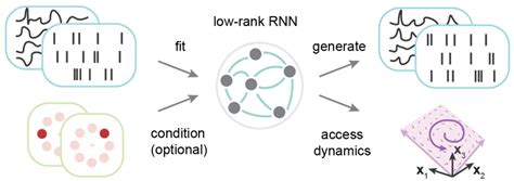 inferring stochastic low rank recurrent neural networks from neural