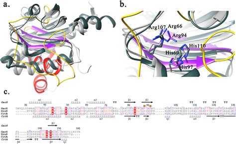 Structural Comparison A Superimposition Of Gacs Pd Colored