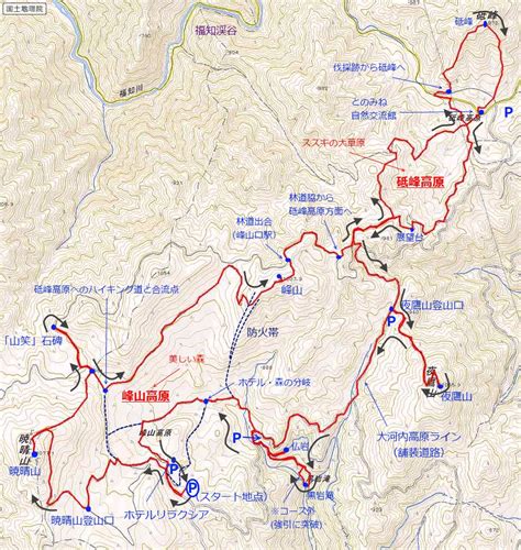 山へ行く 砥峰高原峰山高原