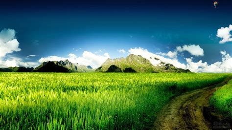 壁纸高清全屏 动态图库网