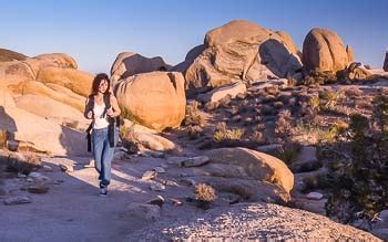2025 Joshua Tree National Park Travel Guide • James Kaiser