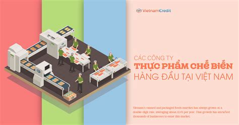 CÁC CÔNG TY THỰC PHẨM CHẾ BIẾN HÀNG ĐẦU TẠI VIỆT NAM P Báo cáo công ty