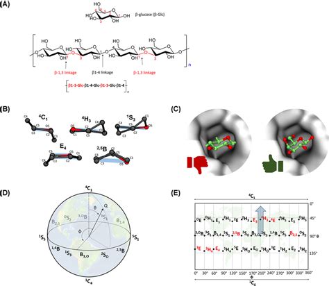 Diversity Of Sugar Linkages And Conformations A One Of The Most Download Scientific Diagram