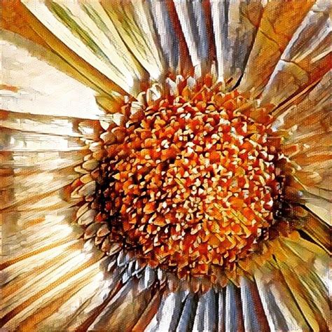 Flower Photographic Art © Jonathan Dass Flowerslovers Digiarts