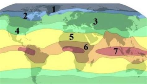 які кліматичні пояси зашифровані під цифрами СРОЧНО Школьные Знания Com