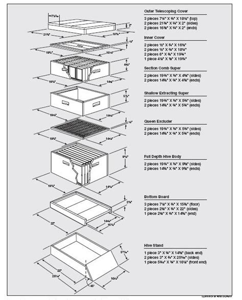 Langstroth Frame Dimensions Inches At Edward Stenhouse Blog