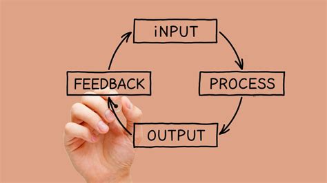 Input Là Gì Trong Tin Học So Sánh Chi Tiết Input Và Output