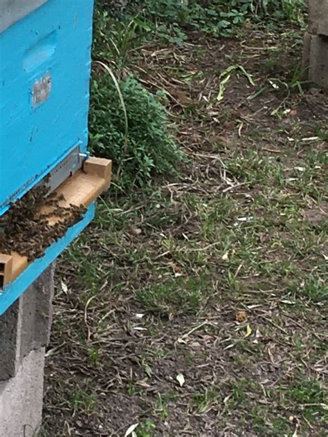 Img3815 Free Image Hosting Service