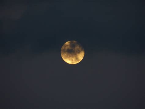 무료 이미지 하늘 밤 신비로운 어둠 보름달 월광 원 슈퍼 문 무서운 천문학 소름 끼치는 우울한 초승달 창백한 천체 지구의 분위기 천계의 사건