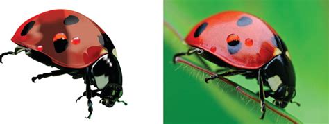 Manually Vector Trace Vectorise Vectorizar Logo Image In Hd By Brajurira Fiverr