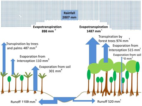 Forests Special Issue Forest Management And Water Resources In The Anthropocene