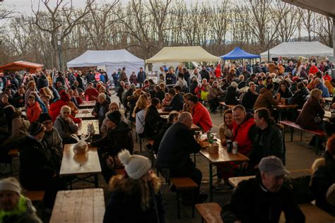 Már lehet jelentkezni a 2024 es Dunakeszi Mindmegeszi toroskáposzta és