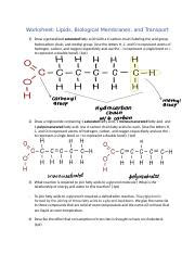 Comprehensive Study On Lipids Cell Membranes And Transport Course Hero