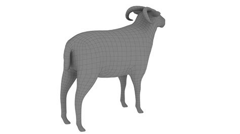 Ram 3d Model Turbosquid 2343373