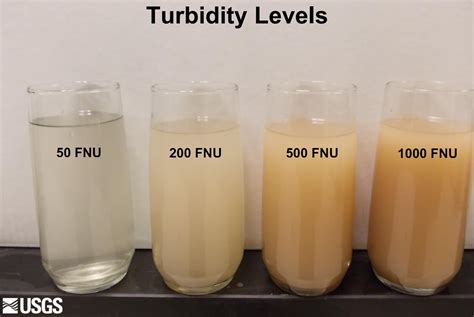 Turbidity Levels Of Water At Shelley Poirier Blog